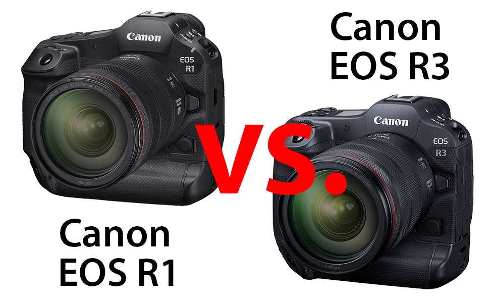 Canon EOS R1 und Canon EOS R3 im Vergleich | News | dkamera.de | Das ...