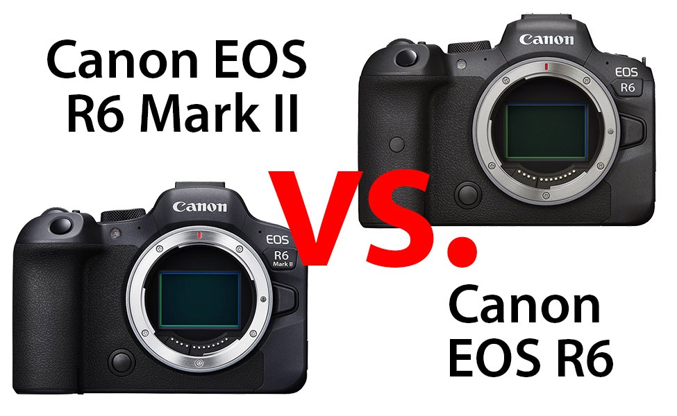 Canon EOS R6 Mark II und Canon EOS R6 im Vergleich | News | dkamera.de ...