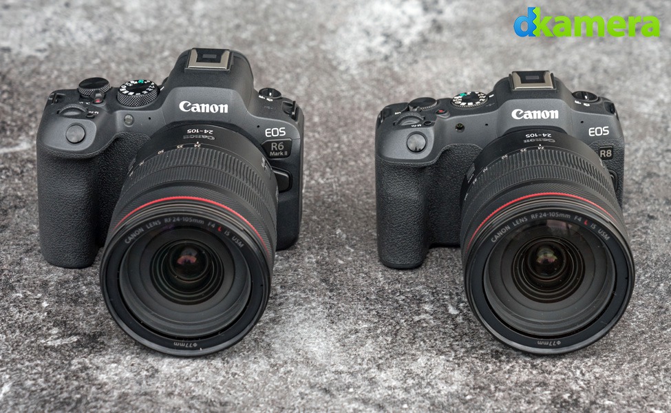 Canon EOS R6 Mark II Und EOS R8 Im Vergleich Teil 1 News Dkamera Canon EOS R6 Mark II Und EOS R8 Im Vergleich Teil 1 News Dkamera