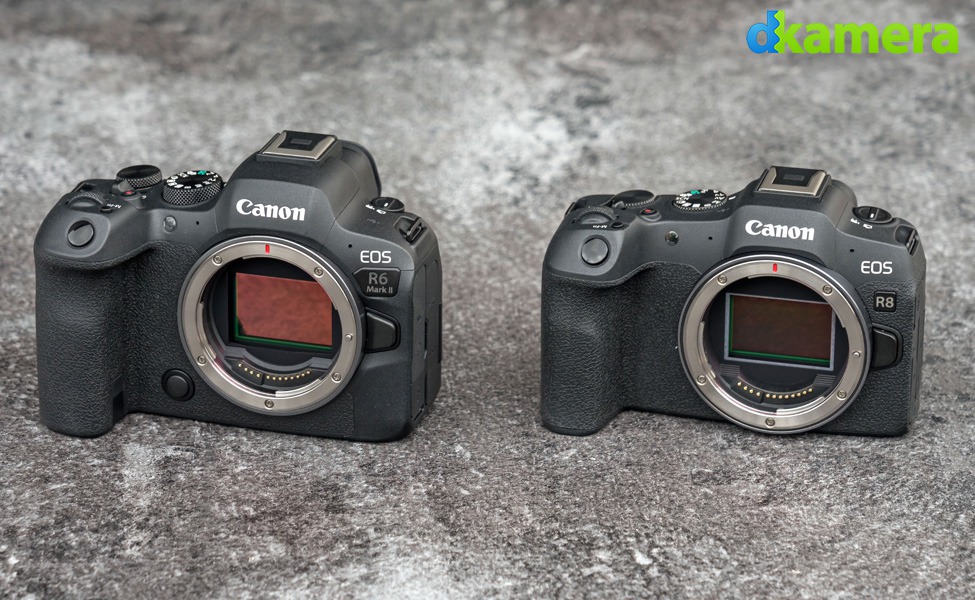 Canon EOS R6 Mark II und EOS R8 im Vergleich (Teil 2) | News | dkamera ...