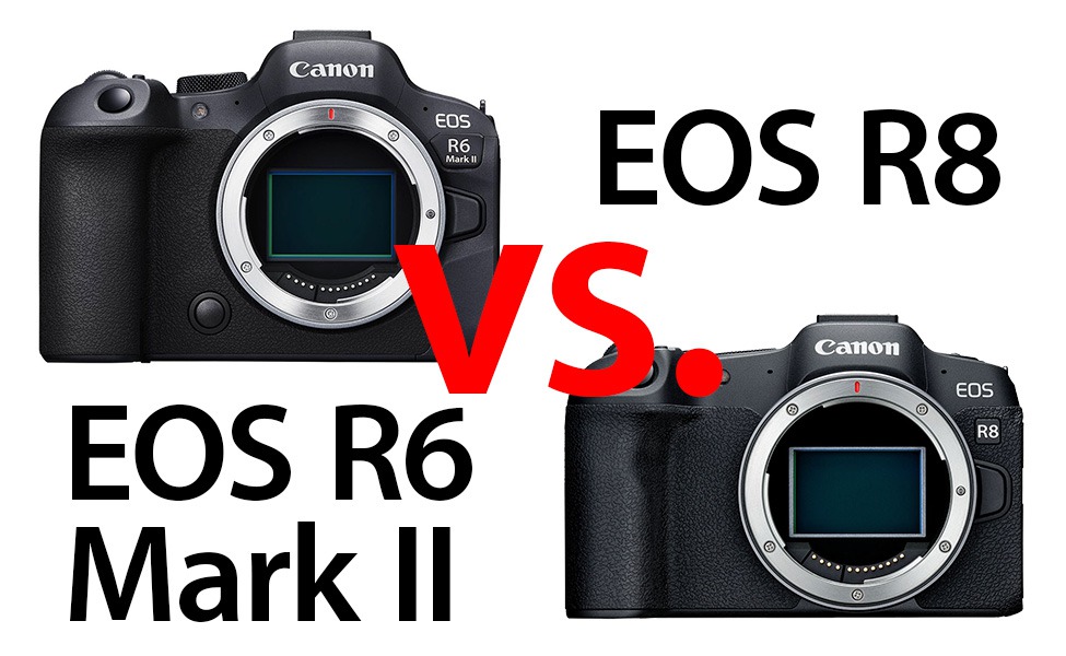 Canon EOS R6 Mark II und EOS R8 im Vergleich | News | dkamera.de | Das Digitalkamera-Magazin