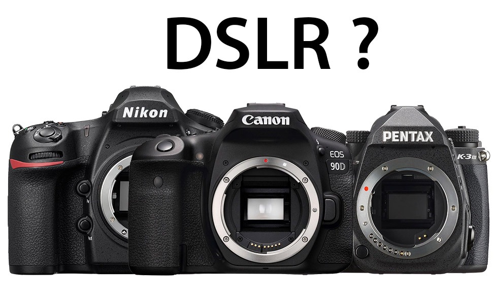 Sollte man 2025 noch eine DSLR kaufen? | News | dkamera.de | Das ...