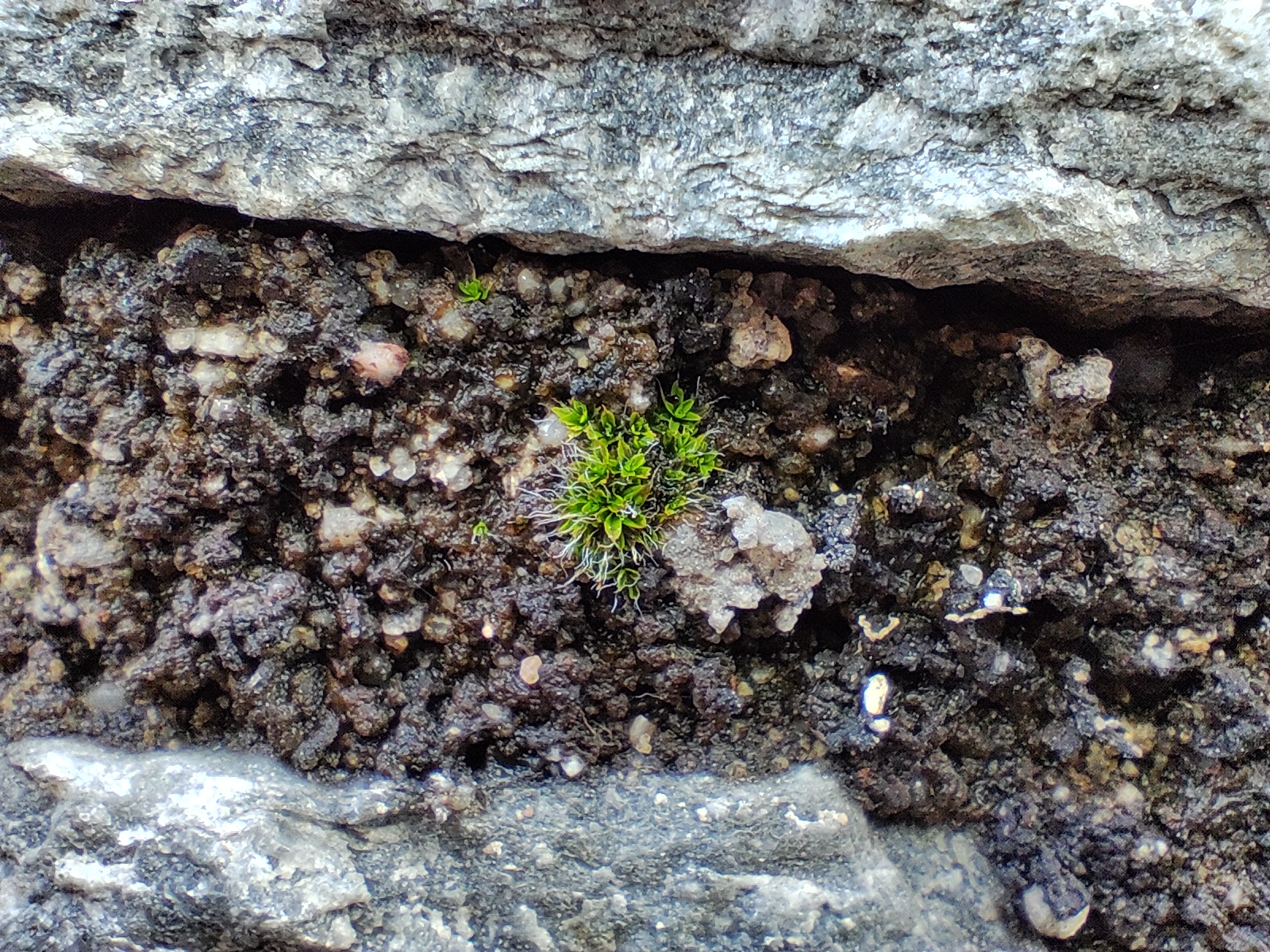 Xiaomi 13 Lite Smartphone- und Kameratest (Teil 2) | News | dkamera.de ...