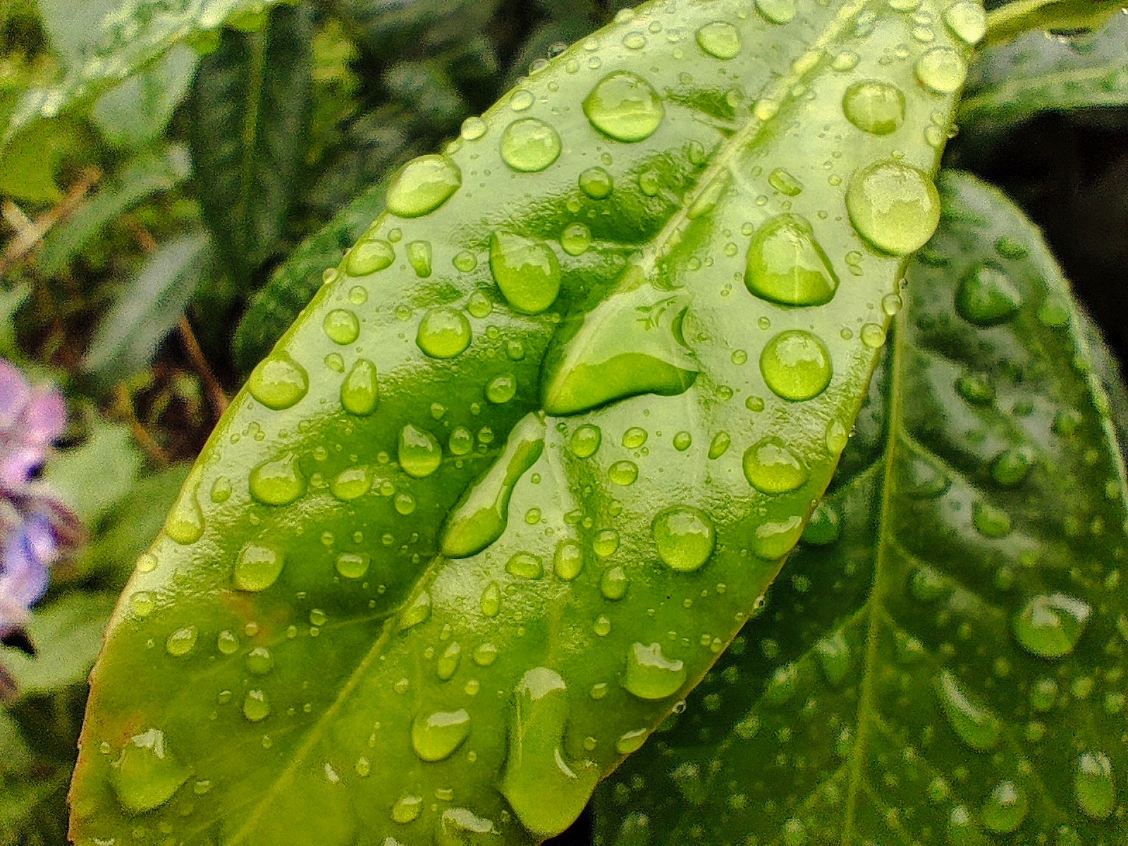 Xiaomi 13 Lite Smartphone- und Kameratest (Teil 2) | News | dkamera.de ...